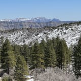 Utah Giant Sequoia Tree, Utah - 92 Reviews, Map | AllTrails