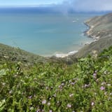 Point Sal Overlook, California - 524 Reviews, Map | AllTrails