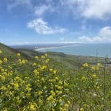 Point Sal Overlook, California - 524 Reviews, Map | AllTrails