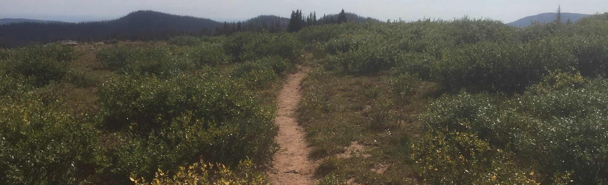 Cave Basin Trail: 73 Reviews, Map - Colorado | AllTrails