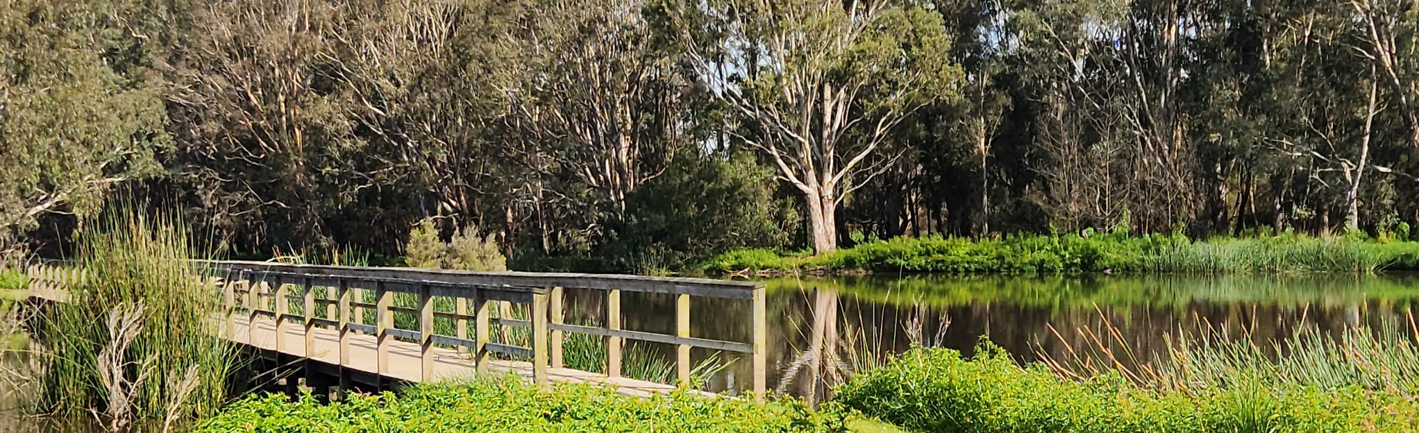 Sale Common Wetlands Loop, Victoria, Australia - 52 Reviews, Map ...