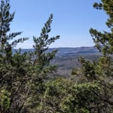 Devils Knob Loop, Arkansas - 237 Reviews, Map | AllTrails