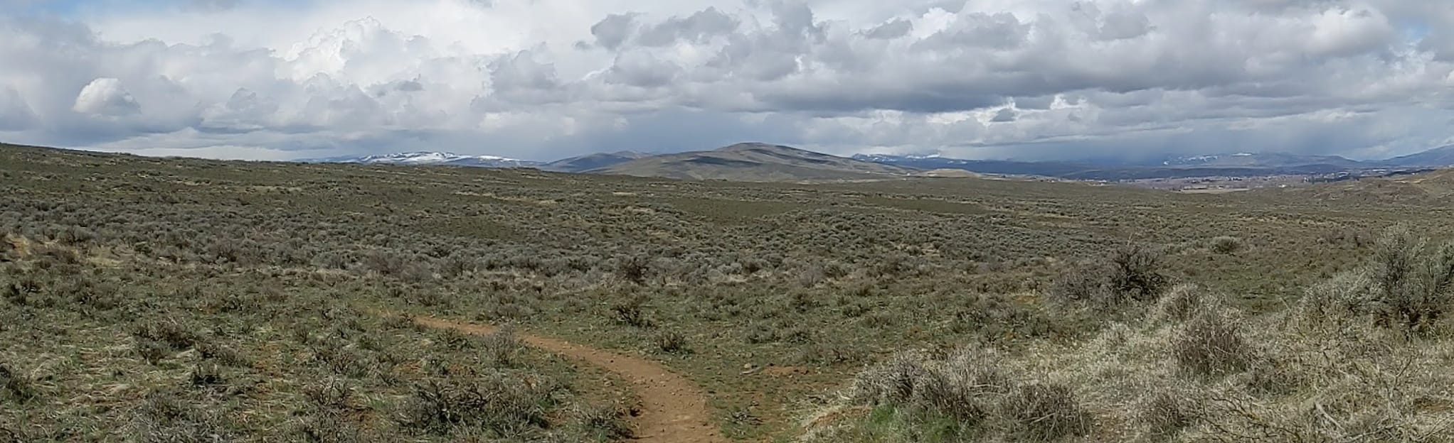 Cowiche Canyon Uplands : 372 Photos - État de Washington | Randonnée ...