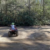 Brown Mountain OHV Trail, North Carolina - 135 Reviews, Map | AllTrails