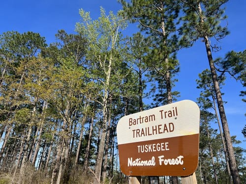 Best Hikes and Trails in Tuskegee National Forest | AllTrails