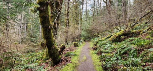 Best Hikes and Trails in Yellow Point Park | AllTrails