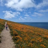 Point Buchon Trail, California - 461 Reviews, Map | AllTrails