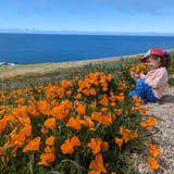 Point Buchon Trail, California - 461 Reviews, Map | AllTrails