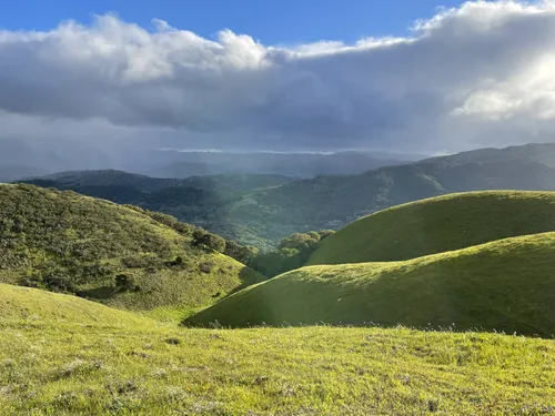Best Hikes and Trails in Marinwood Open Space | AllTrails