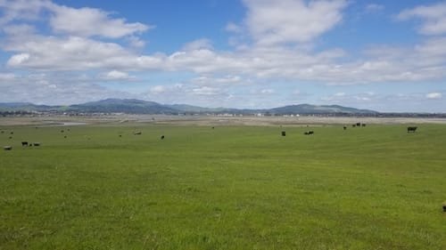 Best Hikes and Trails in Rush Ranch Open Space | AllTrails