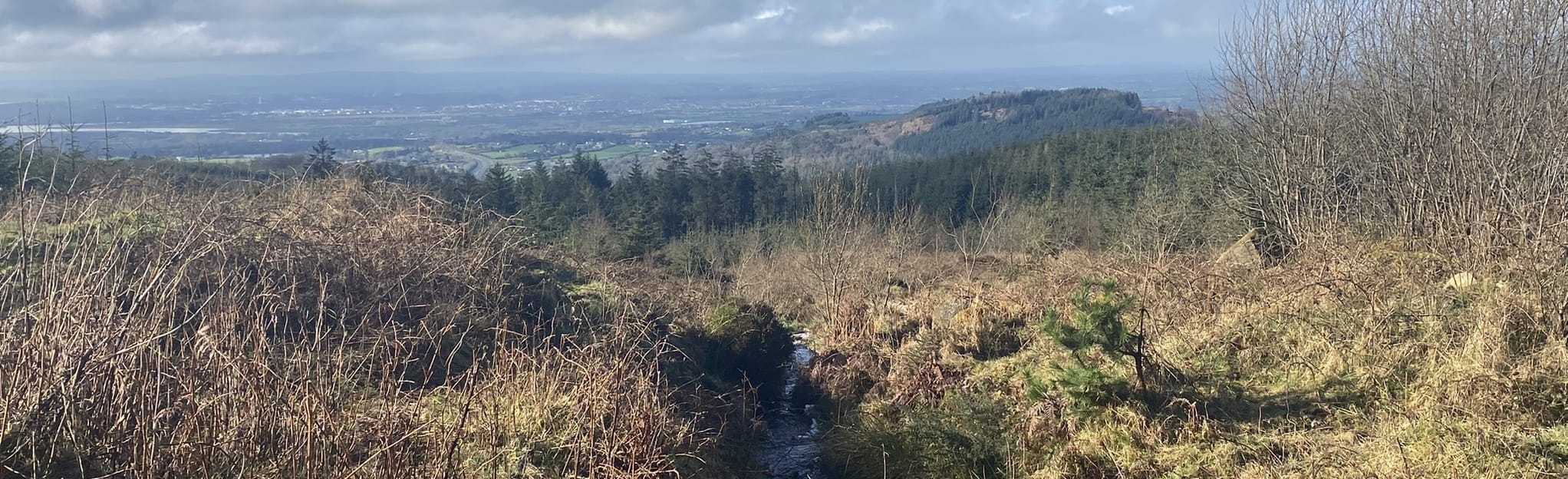 Moneycrockroe to Ravensdale Forest, County Louth, Ireland - Map, Guide ...