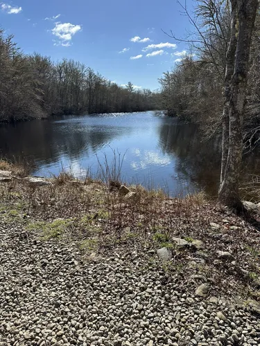 Best Hikes and Trails in Simmons Mill Pond Management area | AllTrails