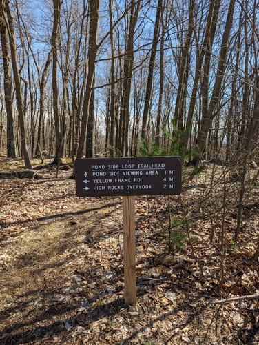 2023 Best trails in Johnsonburg Swamp Preserve | AllTrails