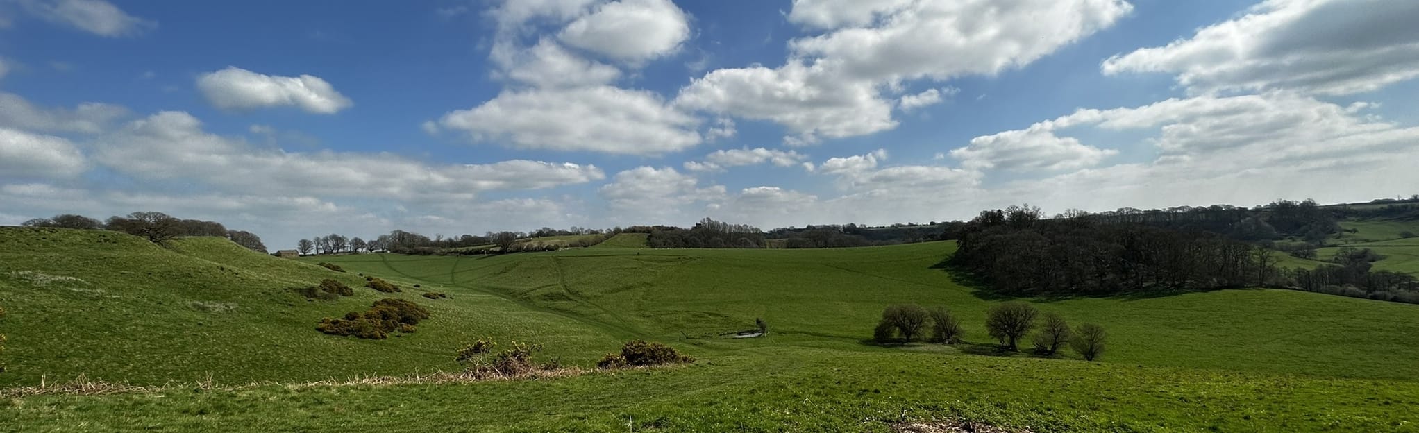 Ham Hill Circular, Somerset, England - 51 Reviews, Map | AllTrails