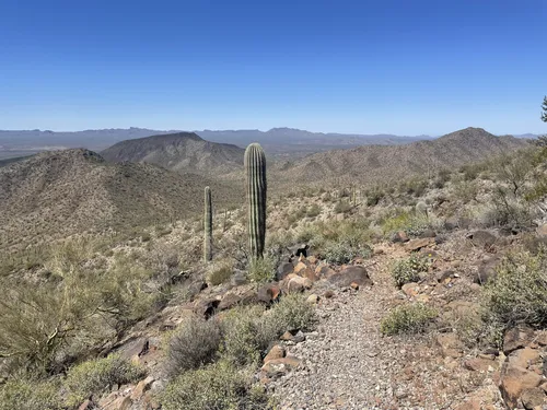 Best Hikes and Trails in Table Top Wilderness | AllTrails