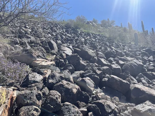 Best Hikes and Trails in Table Top Wilderness | AllTrails