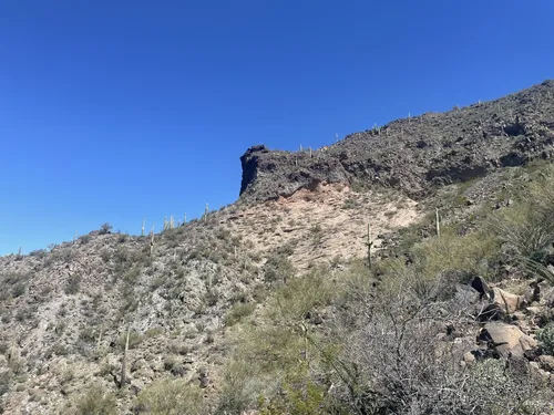 Best Hikes and Trails in Table Top Wilderness | AllTrails