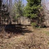 Lost Turkey Trail, Pennsylvania - 64 Reviews, Map | AllTrails