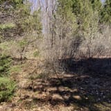 Lost Turkey Trail, Pennsylvania - 64 Reviews, Map | AllTrails