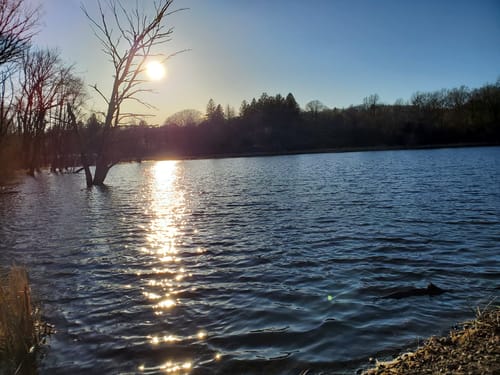Best Hikes and Trails in Beaver Brook Reservation | AllTrails