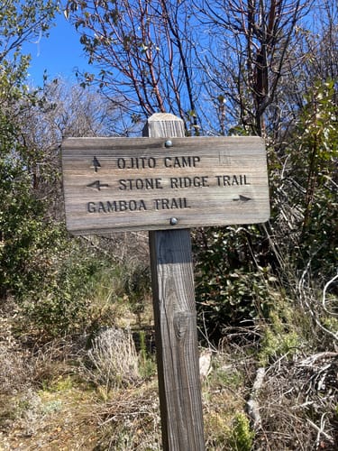 2023 Best Moderate Trails in Ventana Wilderness | AllTrails