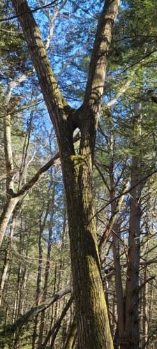 Best Hikes and Trails in Nathan B. and Anne Perry Talbot Wildlife Area ...