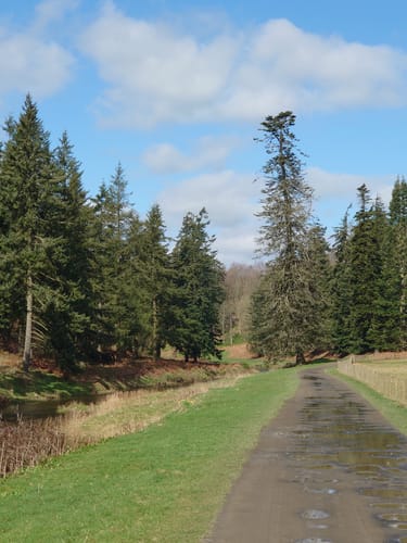 2023 Best Long Trails in Hulme Park | AllTrails