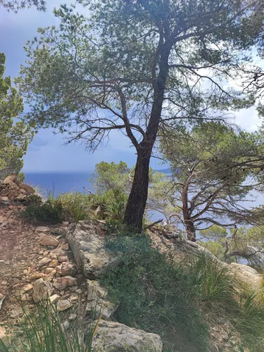 Best Beach Trails in S'Albufera de Mallorca Nature Park | AllTrails