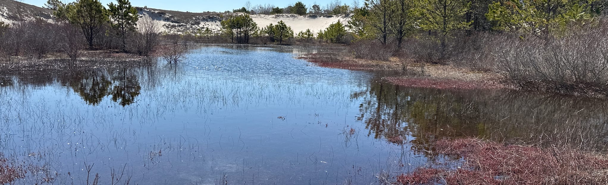 Crane Beach Loop: 320 Reviews, Map - Massachusetts | AllTrails