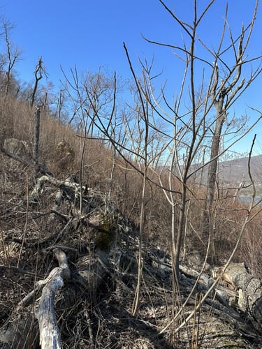 Best Hikes and Trails in Castle Rock Unique Area | AllTrails
