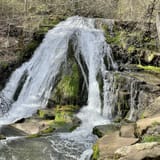 Roaring Run Hoop Hole Trail, Virginia - 702 Reviews, Map | AllTrails