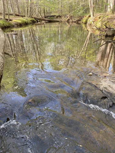 Best Hikes and Trails in Wilson Park | AllTrails