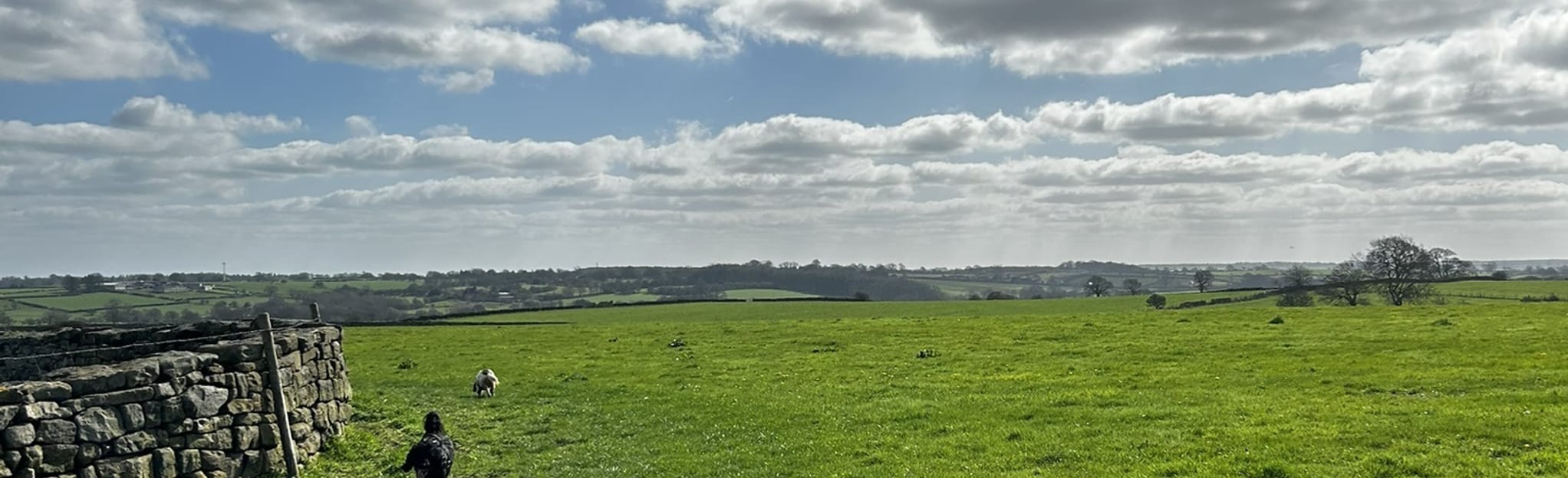 Kirkby Overblow to Sicklinghall Circular: 19 Reviews, Map - North ...