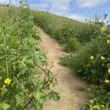 Bane Canyon Short Loop Trail, California - 767 Reviews, Map | AllTrails