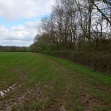 Daffodil Way: Dymock and Kempley Circular, Gloucestershire, England ...