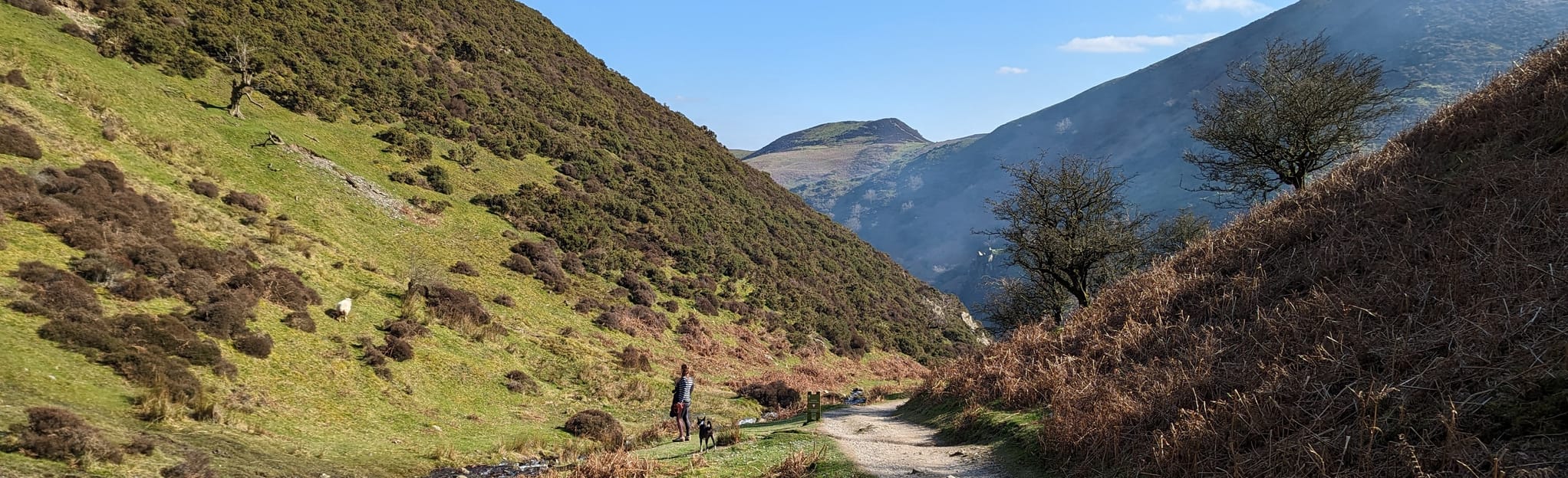 Long Mynd, Shropshire Circular, Shropshire, England - 20 Reviews, Map ...