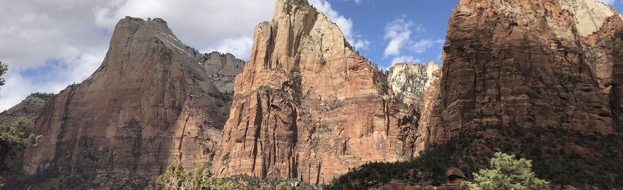 Virgin River Walk: 114 Reviews, Map - Utah | AllTrails