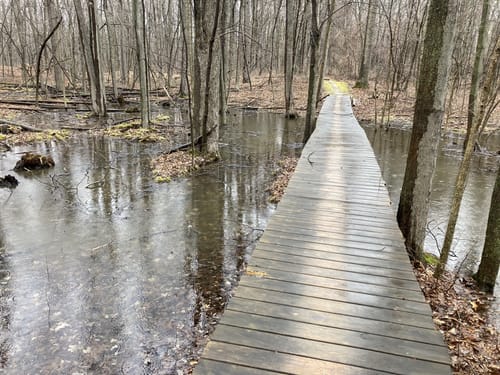 Best Hikes and Trails in Addison Oaks County Park | AllTrails