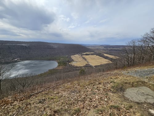 2023 Best Forest Trails in Labrador Hollow Unique Area | AllTrails