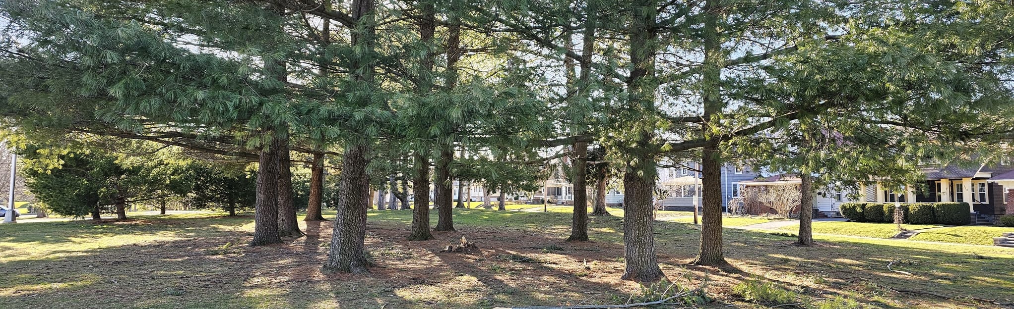 Burnet Park Loop, New York - 53 Reviews, Map | AllTrails