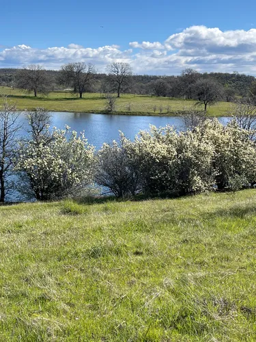 10 Best Trails and Hikes in Red Bluff | AllTrails