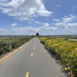 Bayshore Bikeway (Silver Strand) Trail , California - 959 Reviews, Map ...