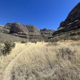 Dog Canyon Trail, New Mexico - 414 Reviews, Map | AllTrails