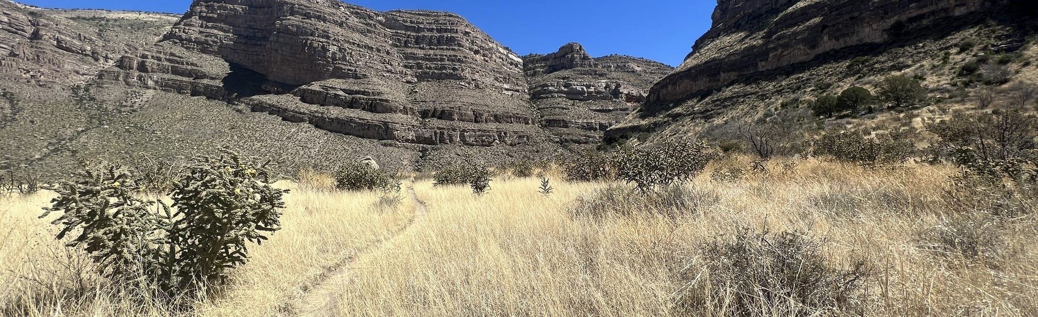 Dog Canyon Trail, New Mexico - 386 Reviews, Map | AllTrails