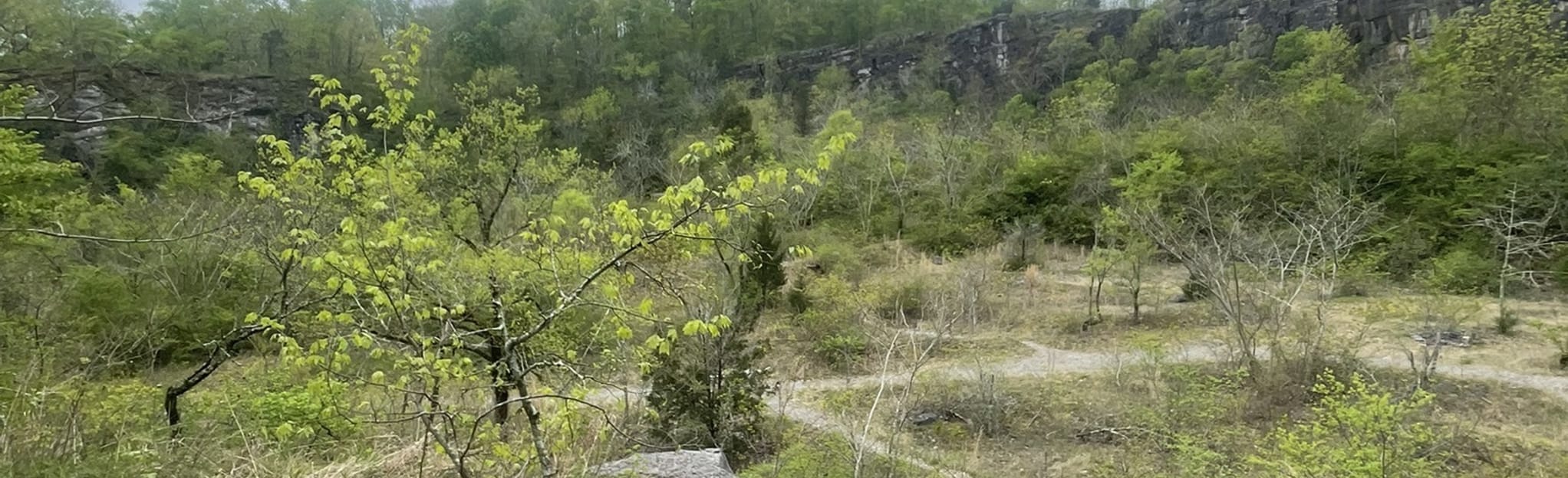 Ridge and Valley Trail to Possum Loop Trail: 182 Reviews, Map - Alabama ...