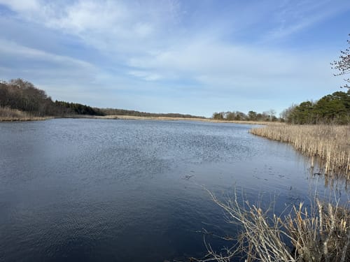 Best Hikes and Trails in Galloway Township | AllTrails