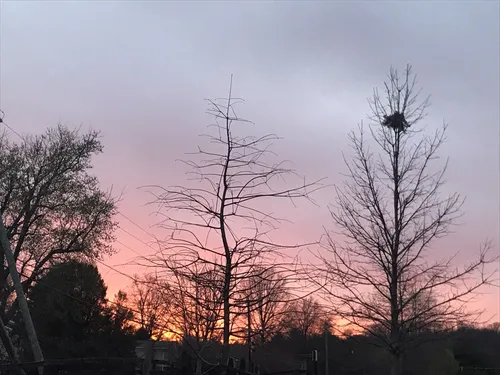 Best Hikes and Trails in Ida Lee Park and Recreation Center | AllTrails