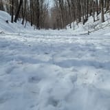 Lake Rebecca Park Reserve Paved Multi-Use Trail, Minnesota - 258 ...