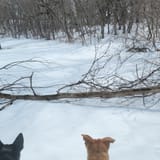 Lake Rebecca Park Reserve Paved Multi-Use Trail, Minnesota - 258 ...
