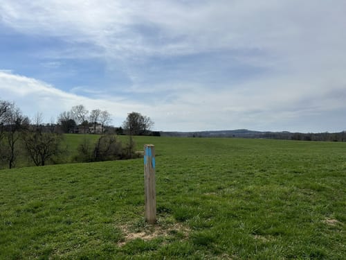 Best Hikes and Trails in Apollo County Park | AllTrails